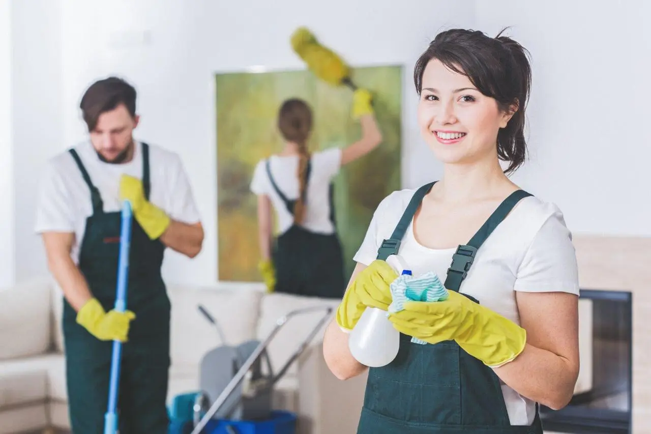 Professional Cleaning Solutions for Business Environments
