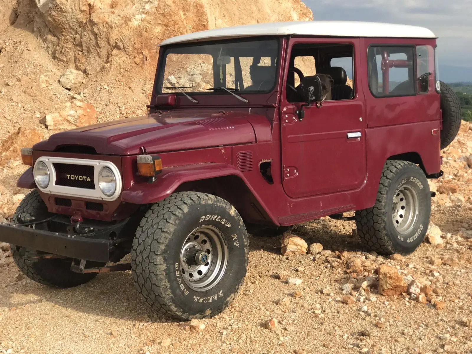 Versatile Utility Vehicles Built for Work and Reliability