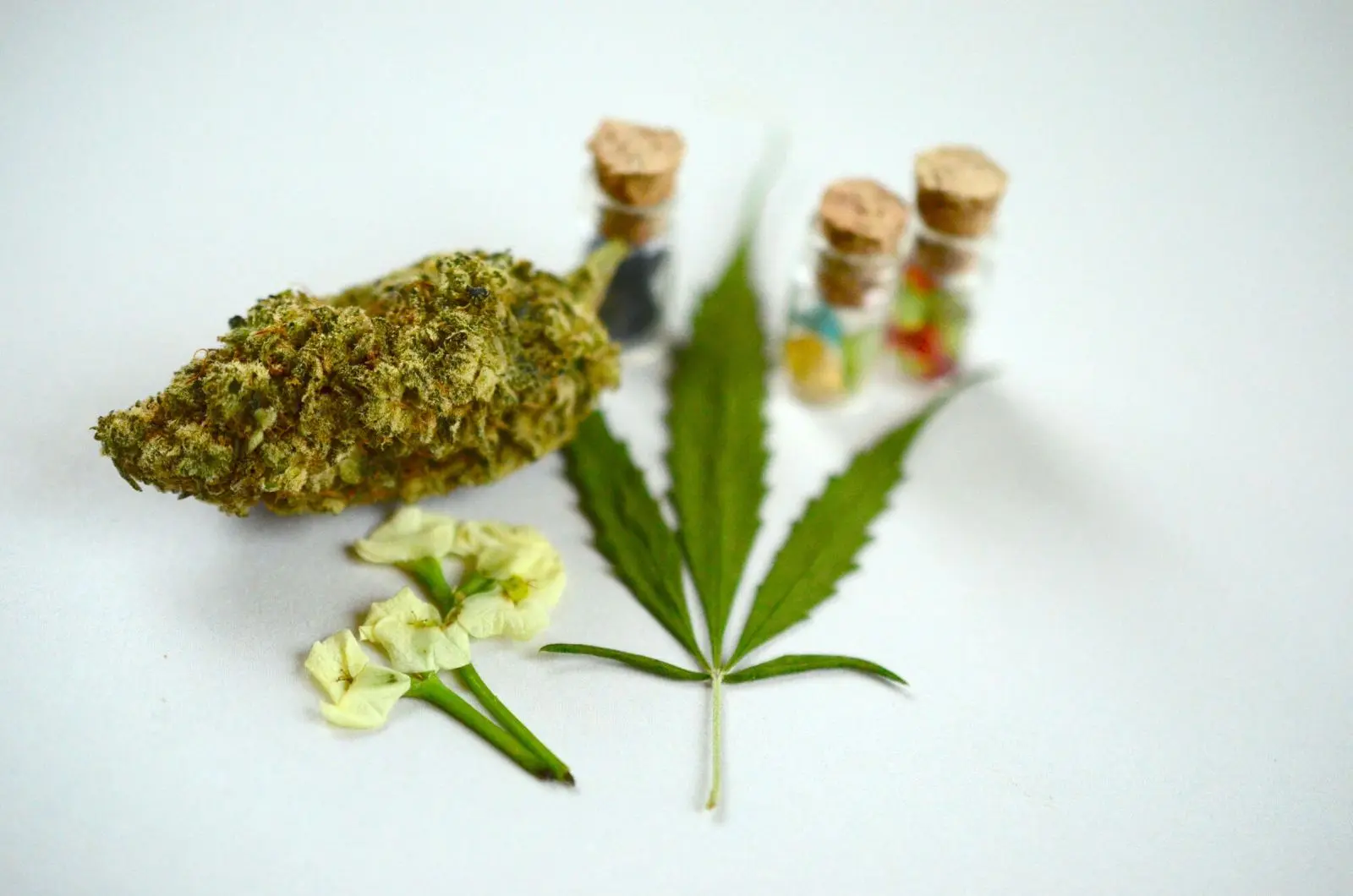 Exploring Cannabis Product Options Types, Uses, and Benefits